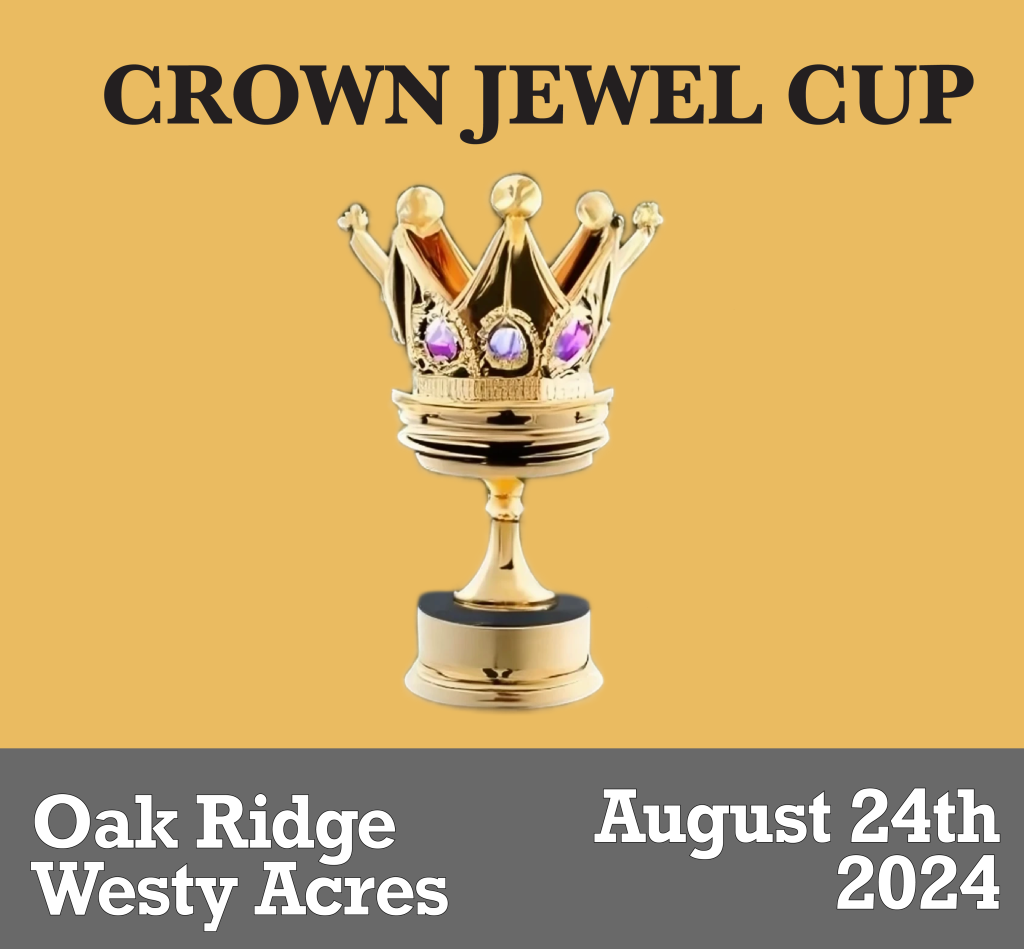 Crown Jewel Cup - Throw Pink